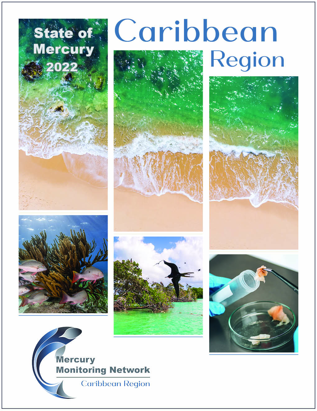 Mercury Monitoring Network - Biodiversity Research Institute ...