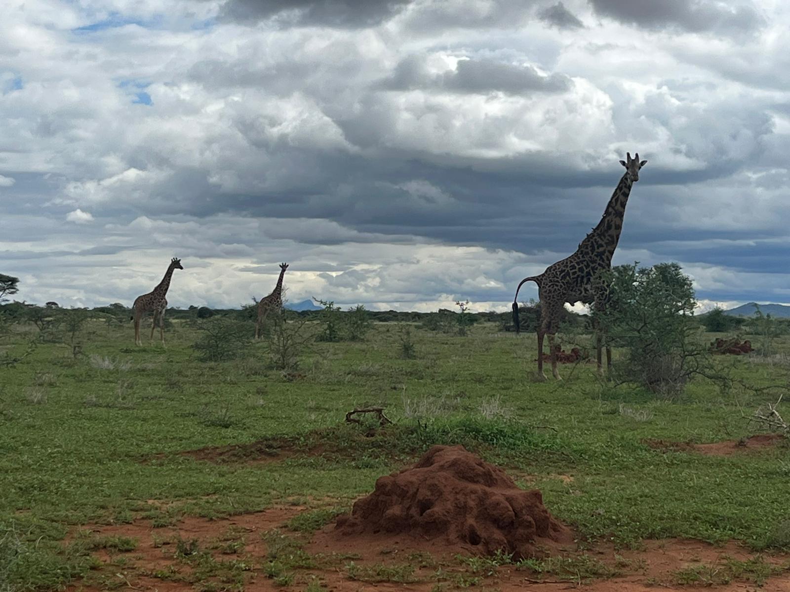 Center Conservation and Climate Change - Biodiversity Research ...