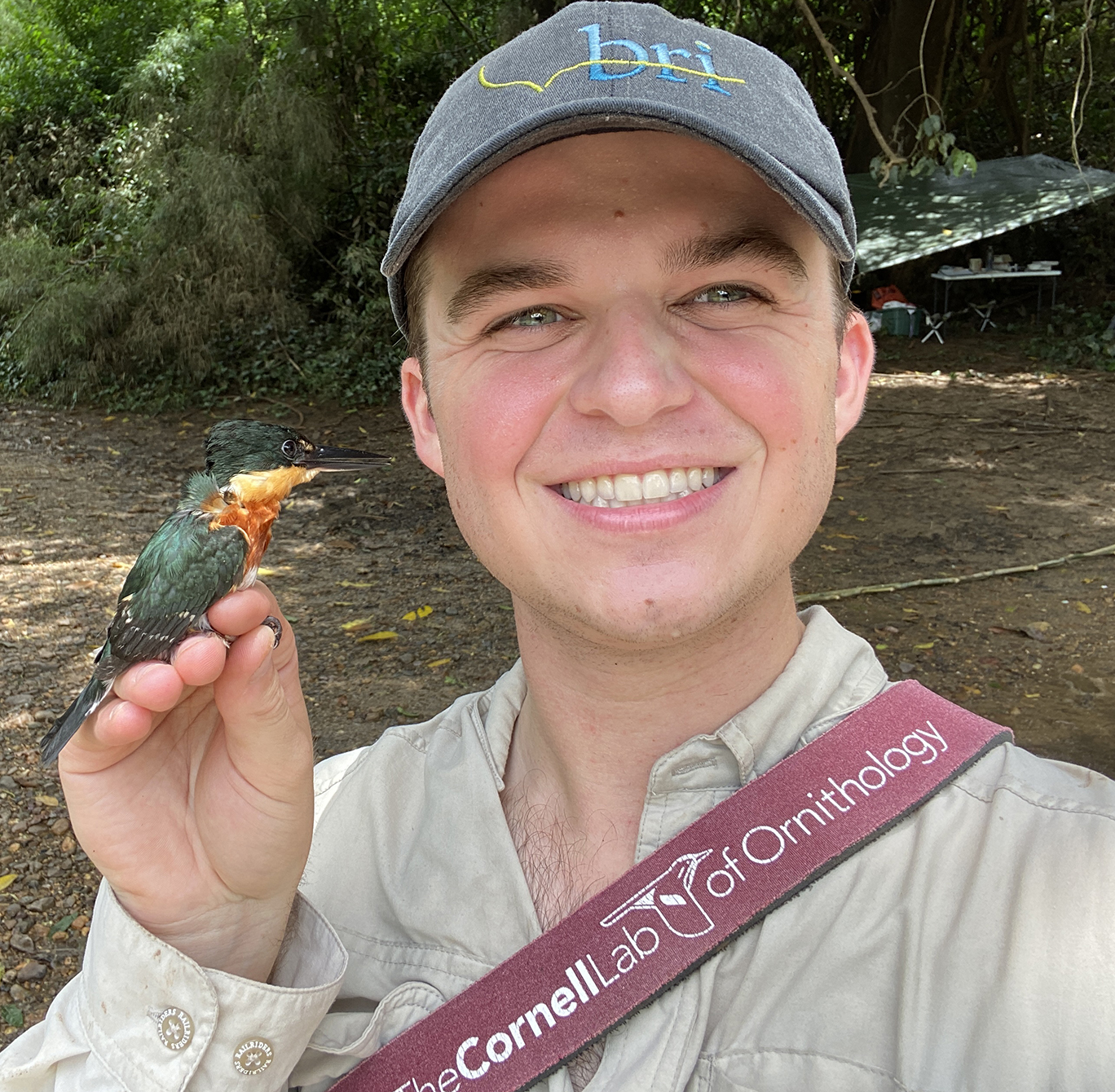 BRI Blog - Biodiversity Research Institute - Innovative Wildlife ...