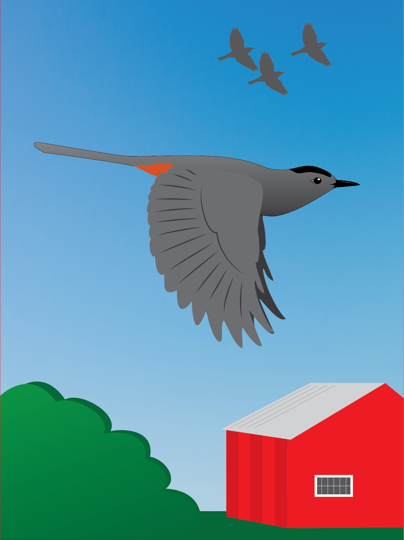 River Point Bird Observatory - Biodiversity Research Institute ...
